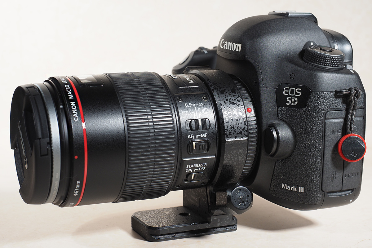 Updating the Firmware on a Canon EOS 5D III | Bouncing Hedgehog